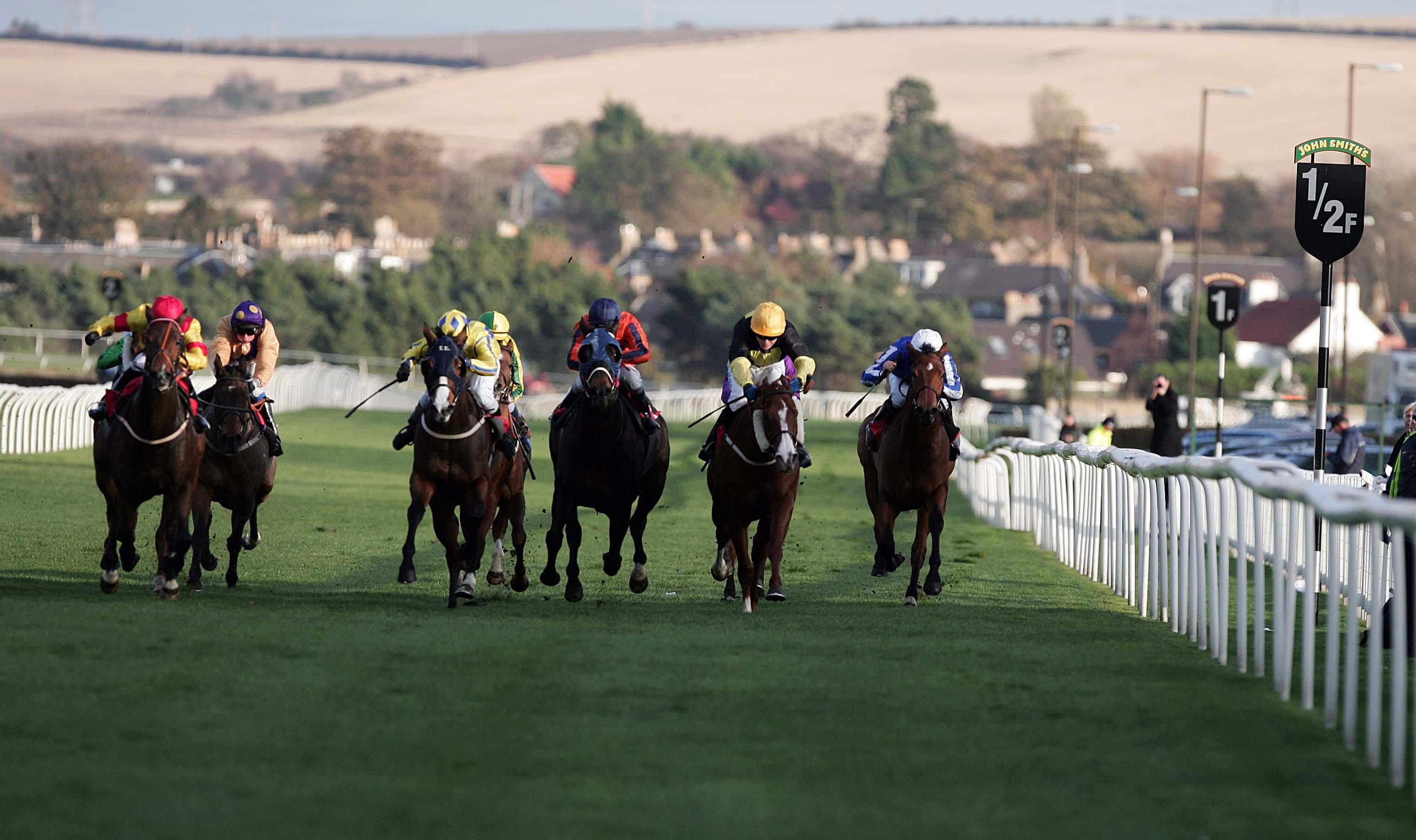 Musselburgh Horse Racing Tips - 8th August 2025 | The Winners Enclosure