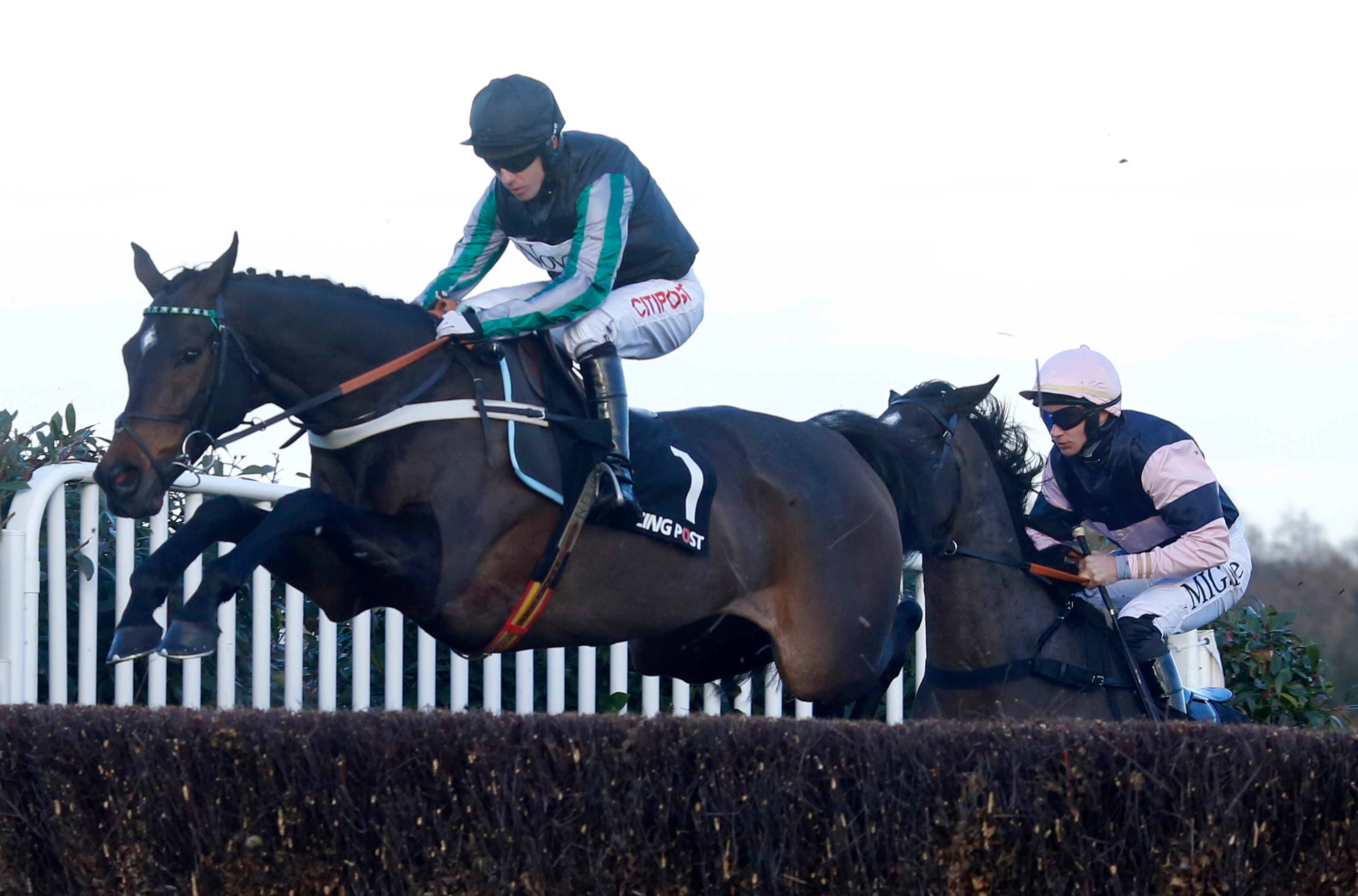 National Hunt Jumps vs Flat Racing Guide | The Winners Enclosure