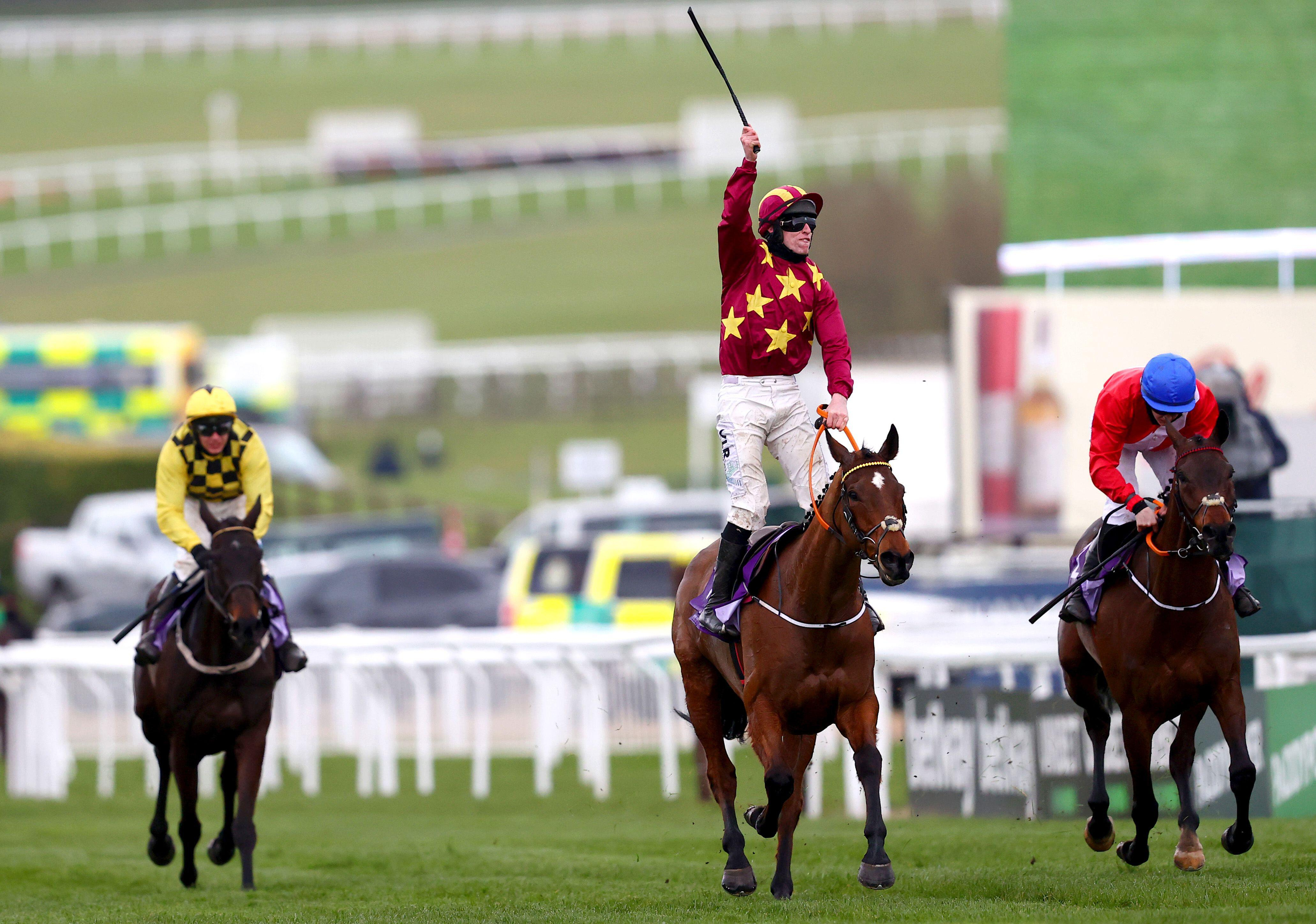 Cheltenham Festival Lucky Pattern Stats | The Winners Enclosure