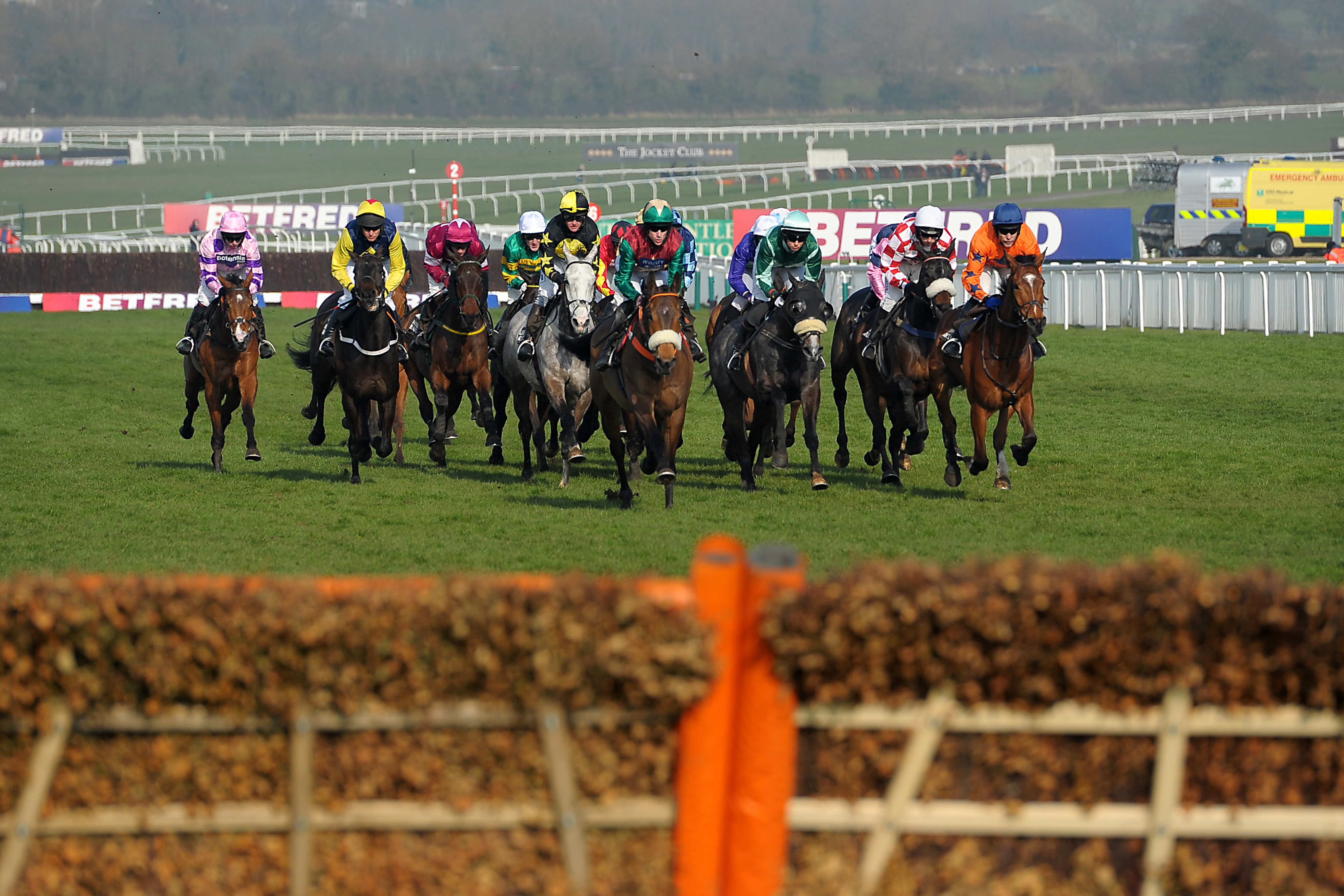 Cheltenham Friday Preview | The Winners Enclosure