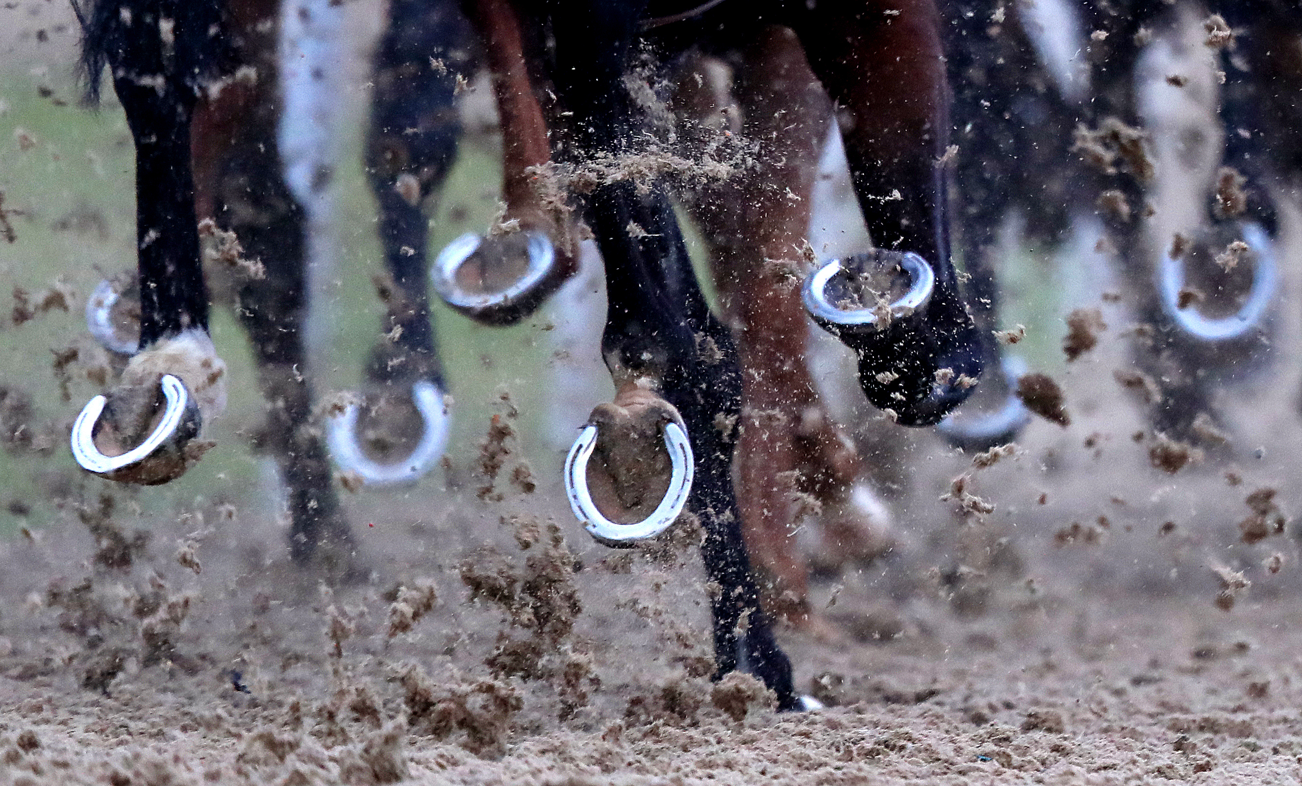ITV Racing Tips For Today - Friday 20th February 2026 | The Winners ...