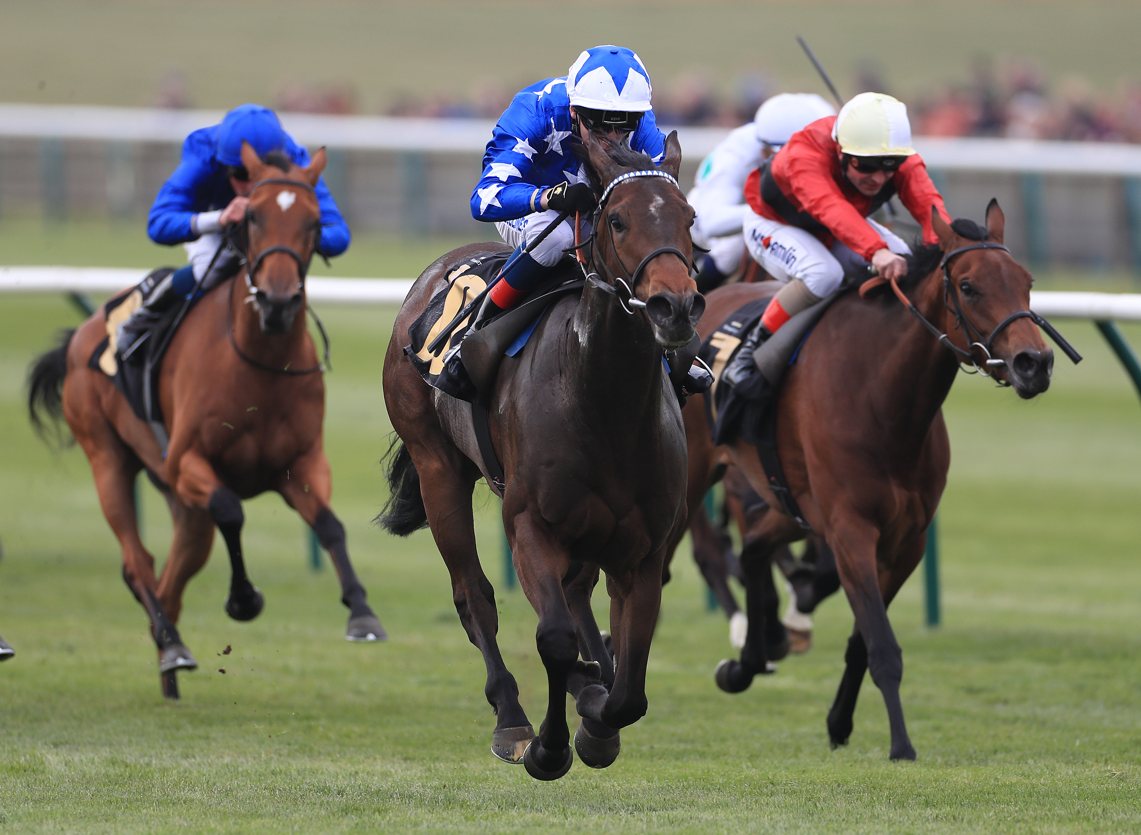 Nottingham Sunday Preview - 02/06/2019 | The Winners Enclosure