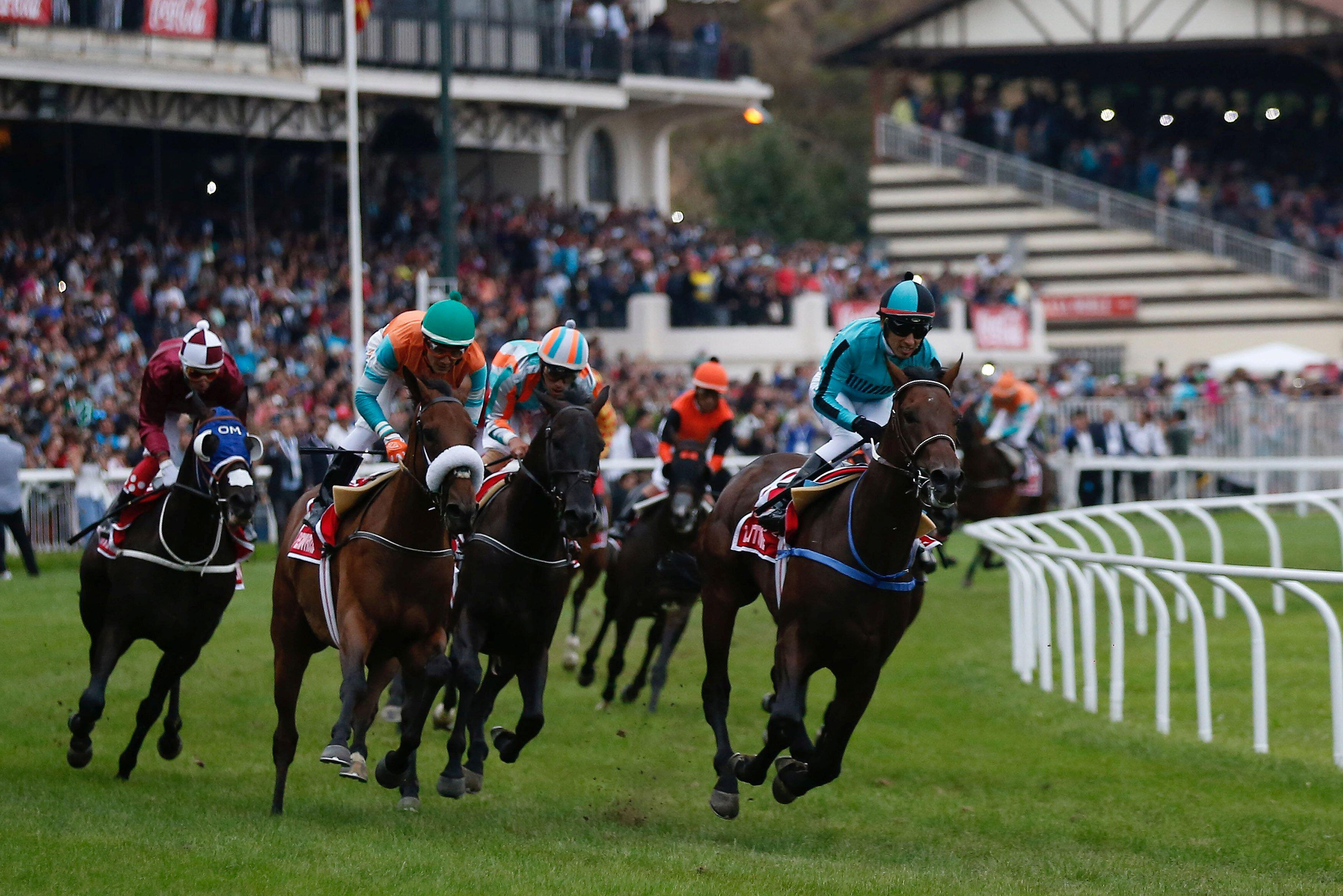 Breeder's Cup Preview Day One Tips | The Winners Enclosure