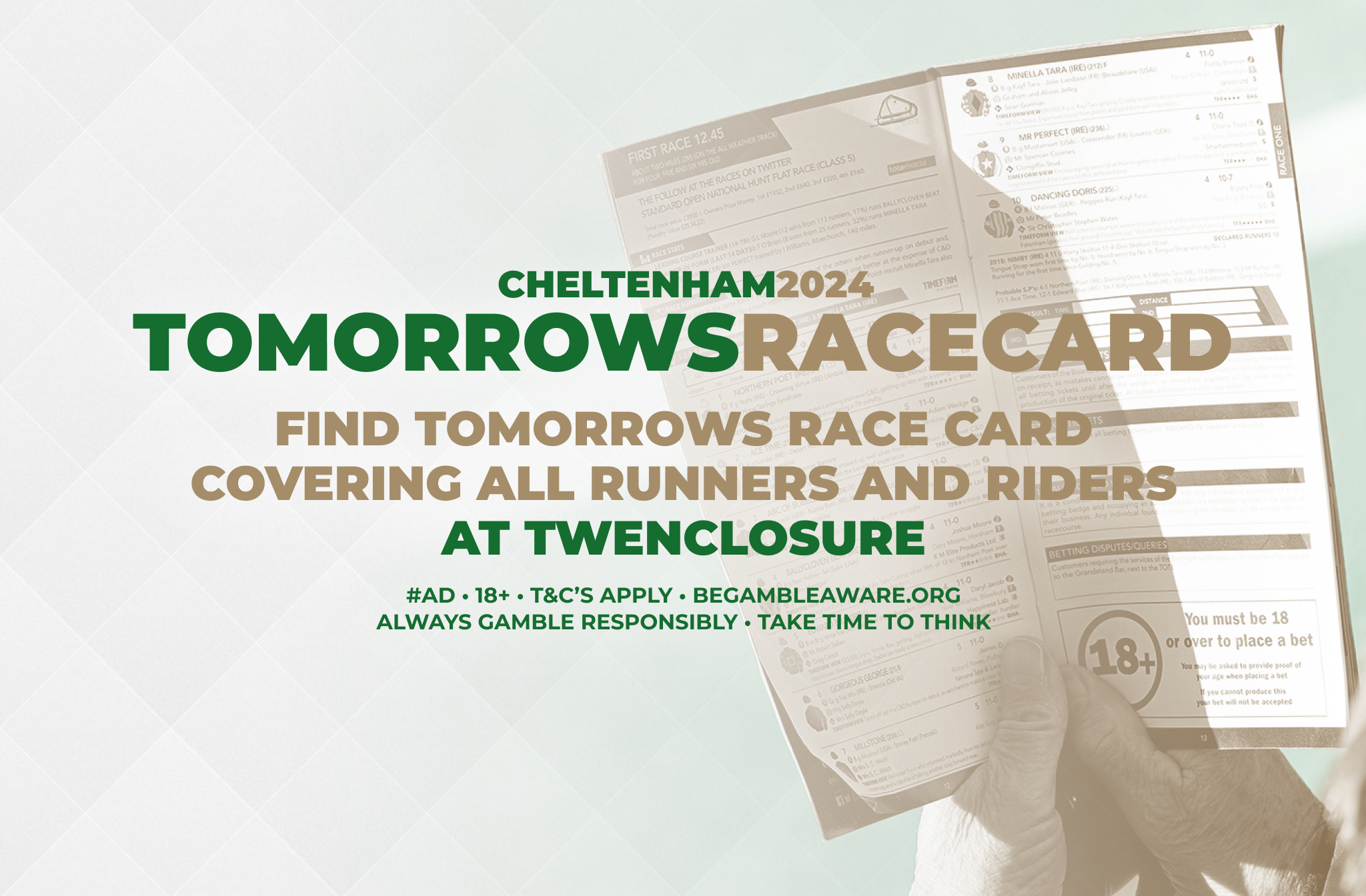 Tomorrow's Races at Cheltenham Festival (Friday 15th) | Racecard for ...