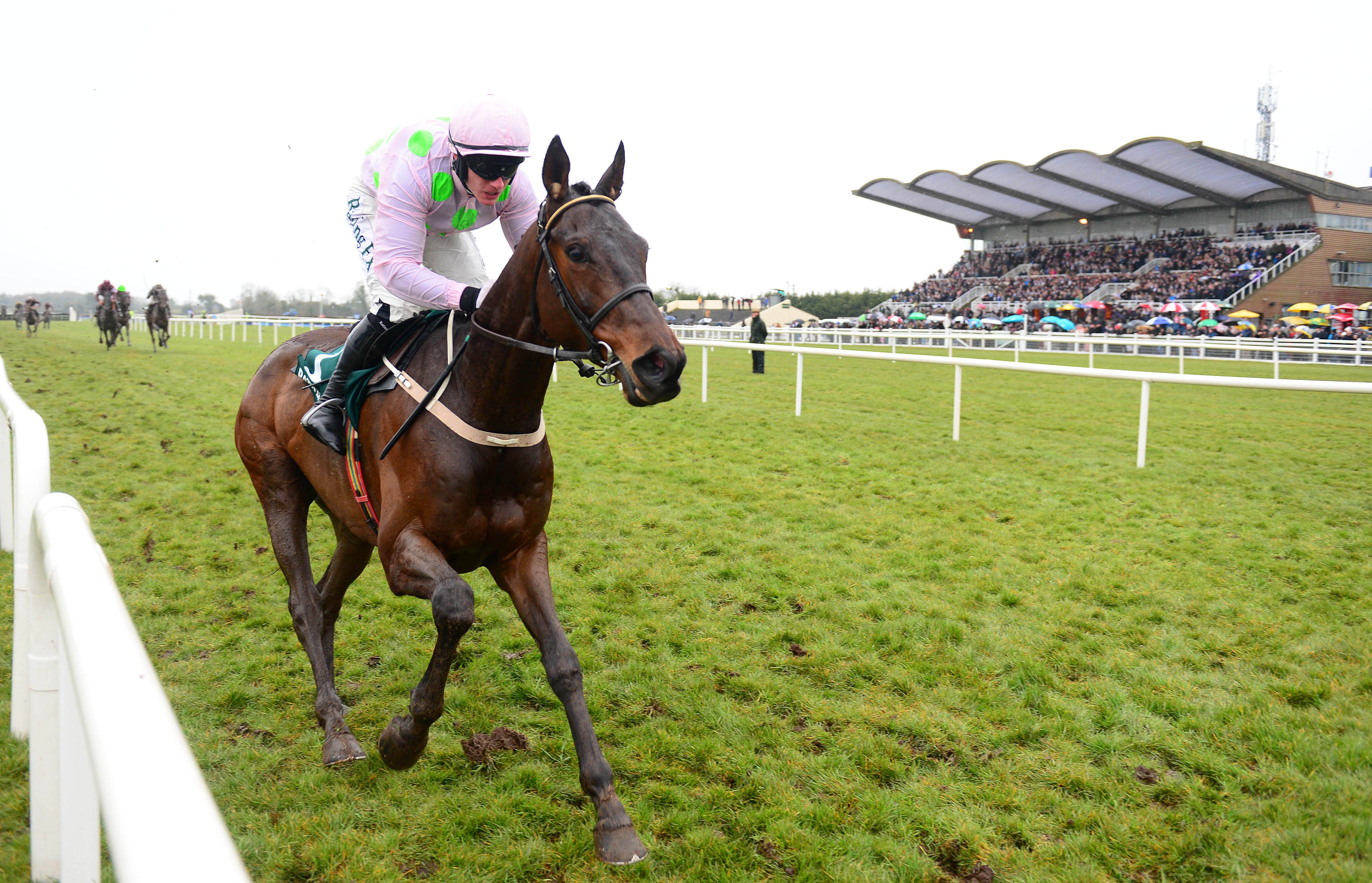 Leopardstown Friday Preview | The Winners Enclosure