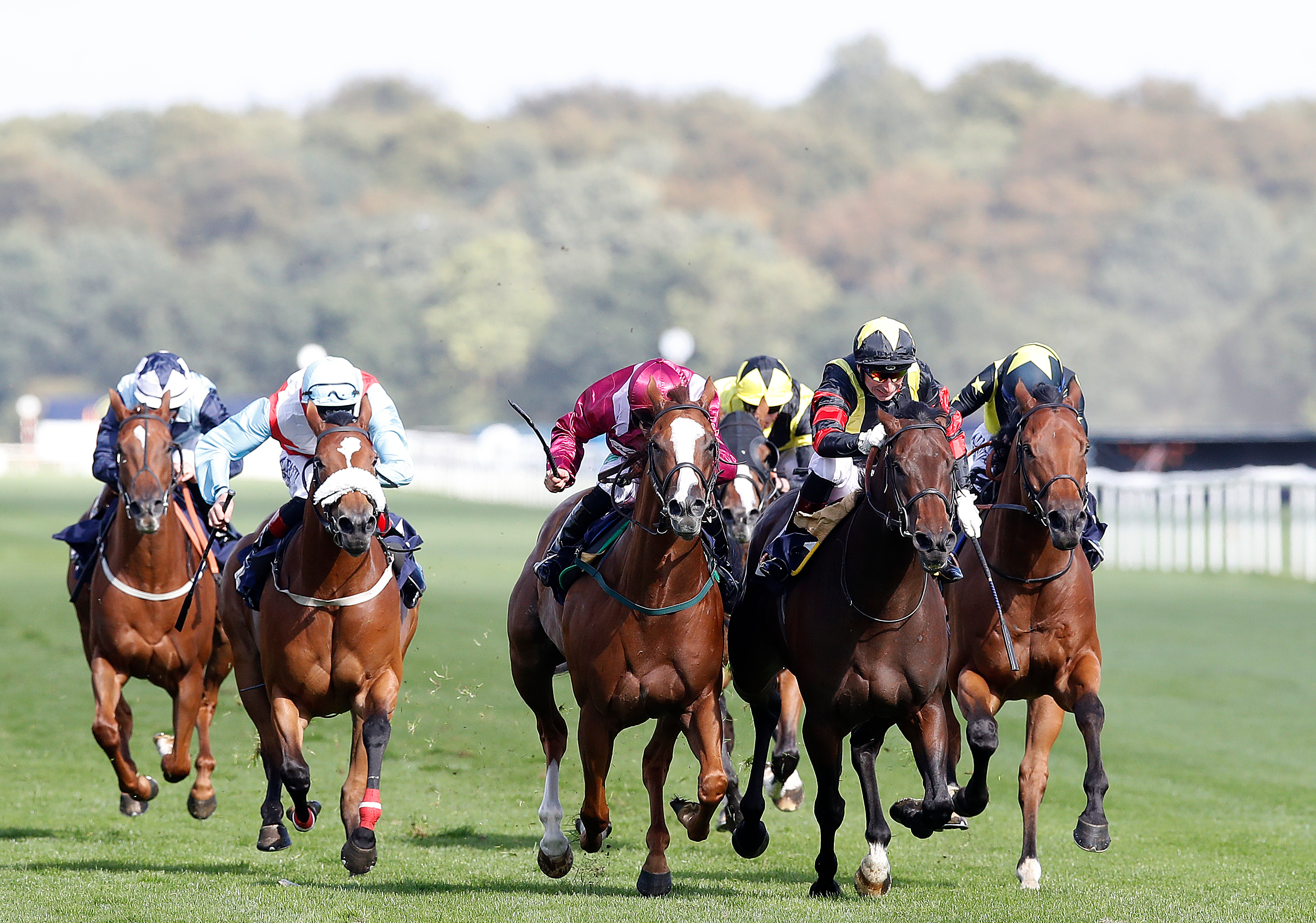 Classification of Races | The Winners Enclosure