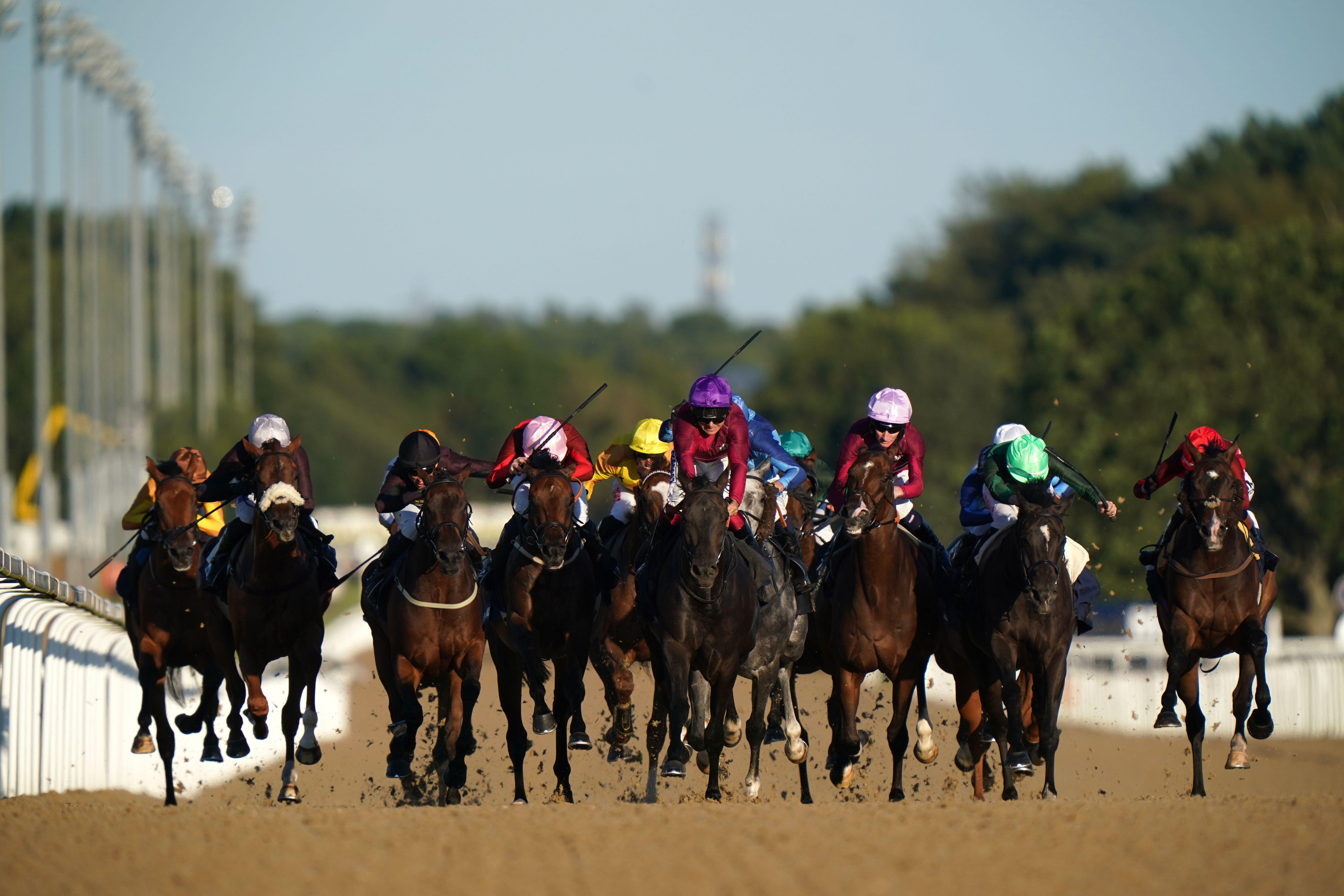 One Trainer Is Sending A Single Runner On A 660 Mile Round Trip To ...
