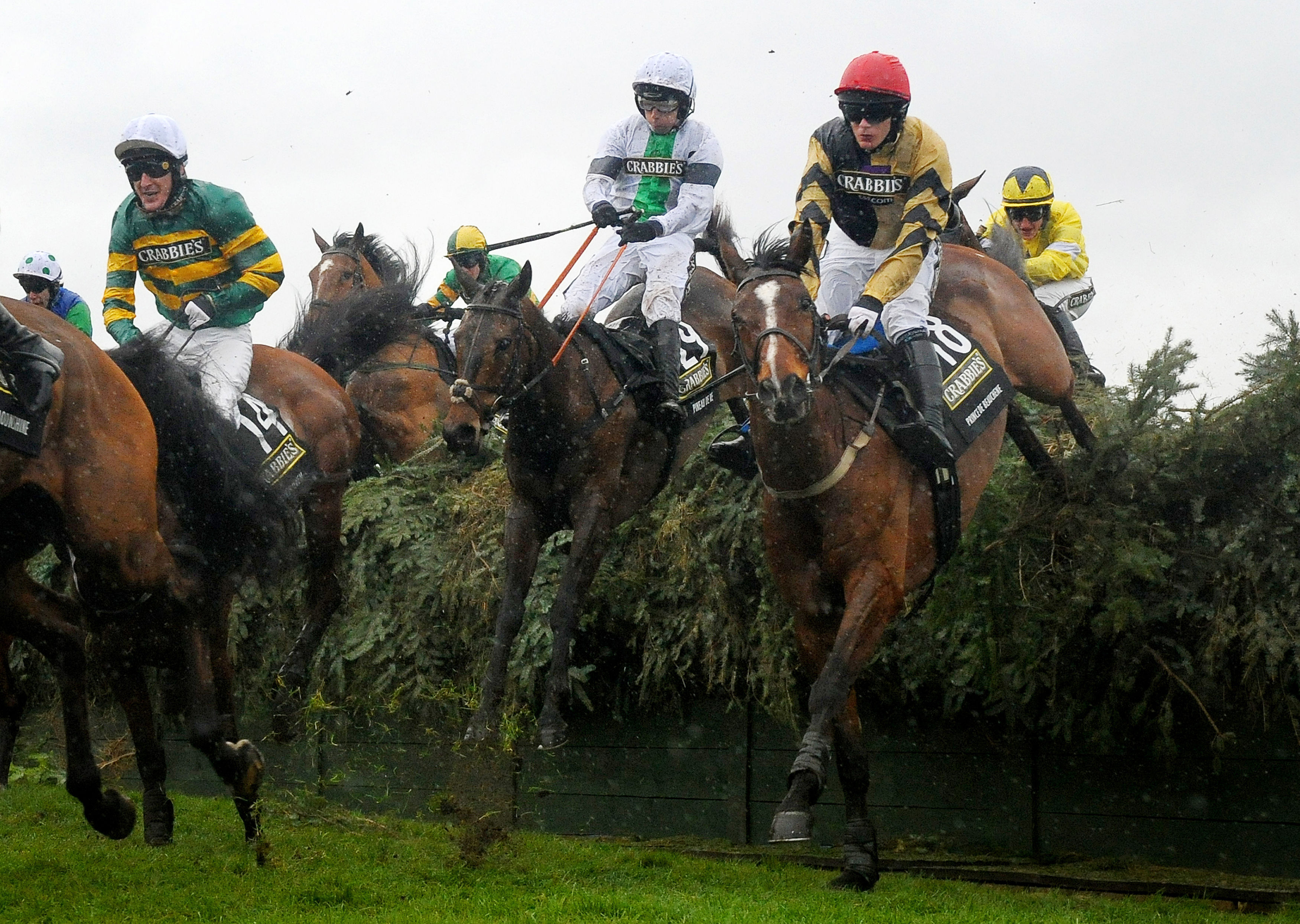 Grand National Trends | The Winners Enclosure