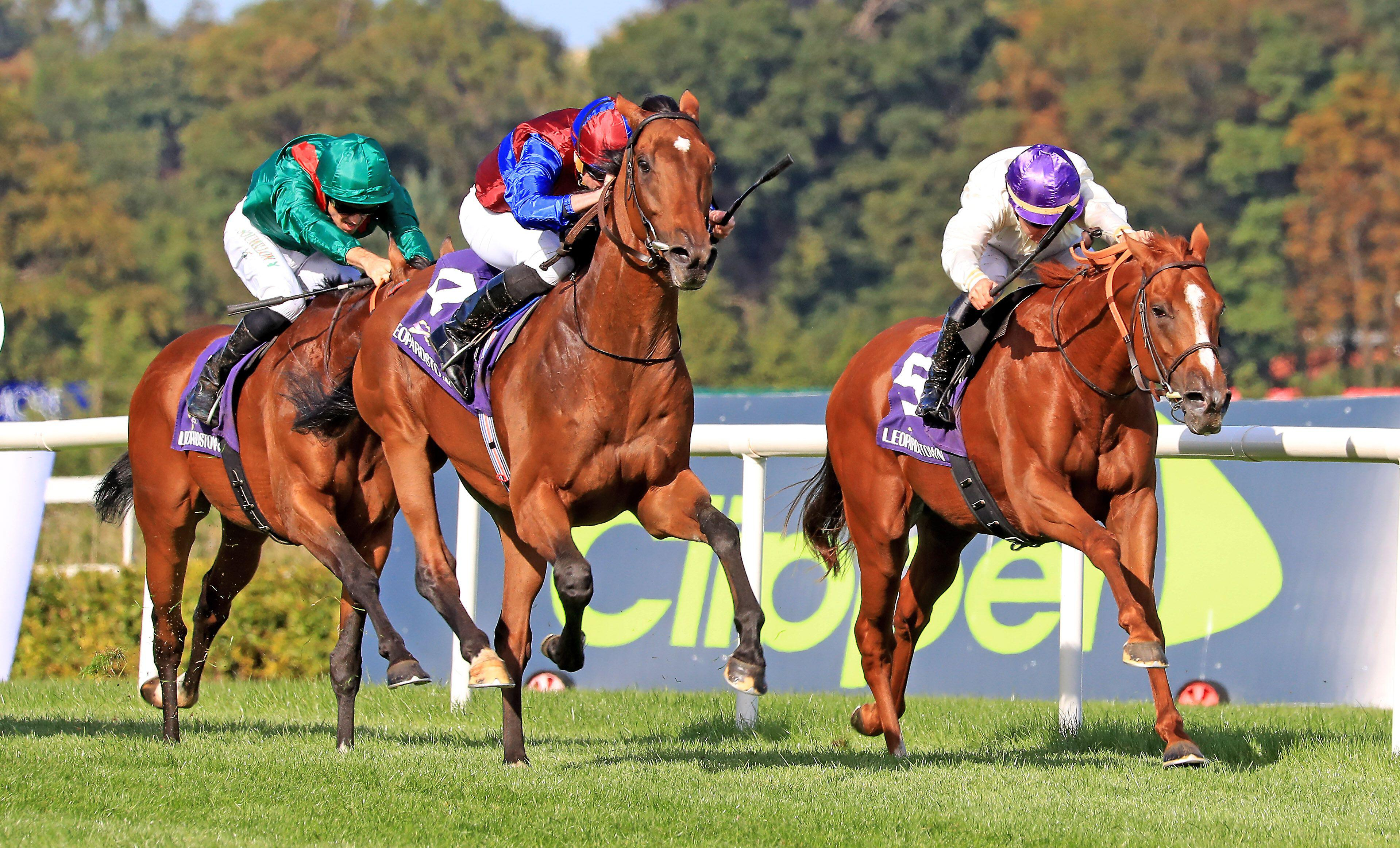 ITV Racing Tips For Today - Sunday 14th September 2025 | The Winners ...